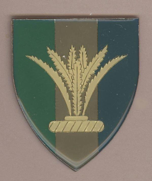 S.A. SECTOR 10 SIGNAL SQUADRON S/F - Tenniswood Militaria