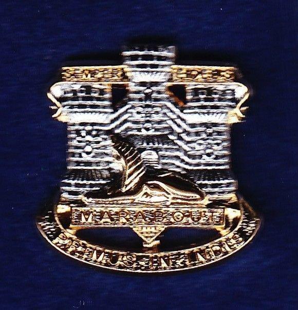 DEVONSHIRE AND DORSET REGIMENT - LAPEL BADGE - Jeremy Tenniswood Militaria